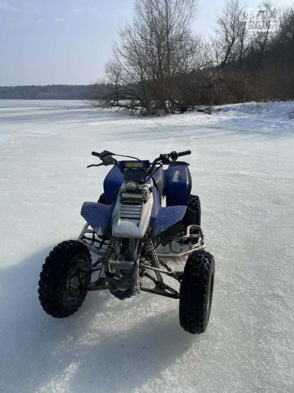Blue Yamaha Warrior 2005 in Kaunas, with an engine capacity of 0.00 L and mileage of 30 thousand km for 1350 €, photo 3 on AUTOMOTO.COM.LV