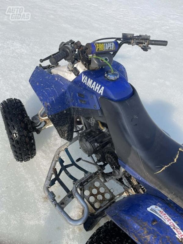 Blue Yamaha Warrior 2005 in Kaunas, with an engine capacity of 0.00 L and mileage of 30 thousand km for 1350 €, photo 4 on AUTOMOTO.COM.LV