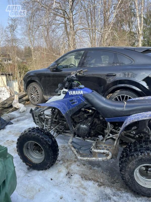 Blue Yamaha Warrior 2005 in Kaunas, with an engine capacity of 0.00 L and mileage of 30 thousand km for 1350 €, photo 7 on AUTOMOTO.COM.LV