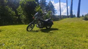 Melns Yamaha XV 2001 Alīta, ar dzinēja tilpumu 0.54 L un nobraukumu 8 tūkst. km par 2600 €, foto 4 vietnē AUTOMOTO.COM.LV