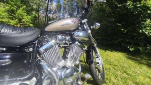 Melns Yamaha XV 2001 Alīta, ar dzinēja tilpumu 0.54 L un nobraukumu 8 tūkst. km par 2600 €, foto 17 vietnē AUTOMOTO.COM.LV